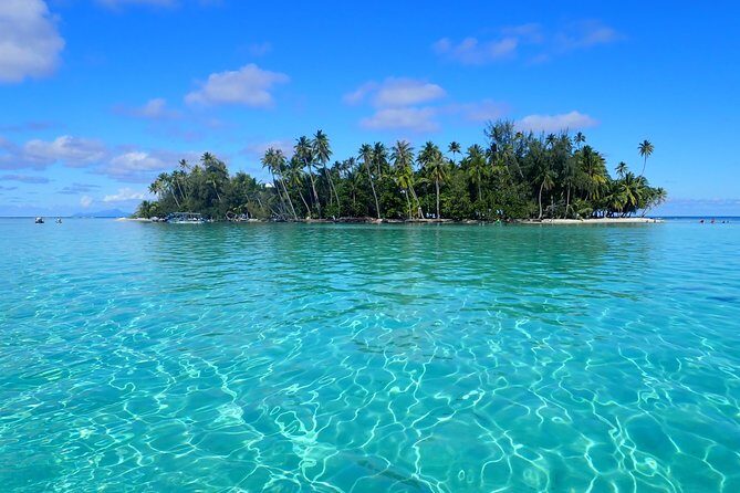 Private tour from Raiatea - 1/2 day excursion to Tahaa or other - Key Points