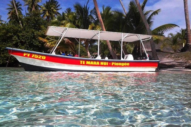Private tour from Raiatea - 1/2 day excursion to Tahaa or other - Who Should Book This Tour?
