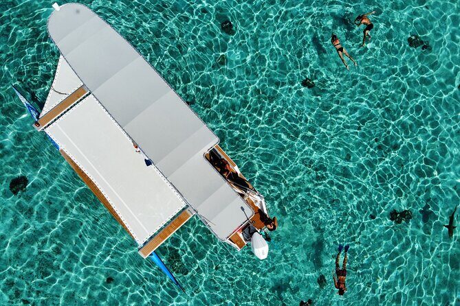 Private tour from Raiatea - 1/2 day excursion to Tahaa or other - The Sum Up