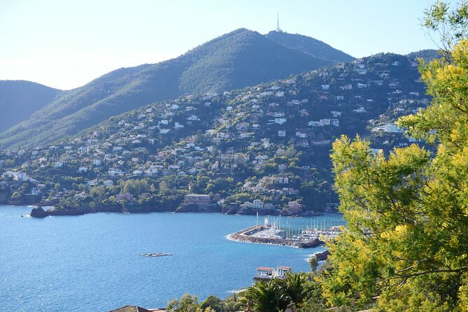 Private Tour from Saint-Tropez to the flowers city - Key Points