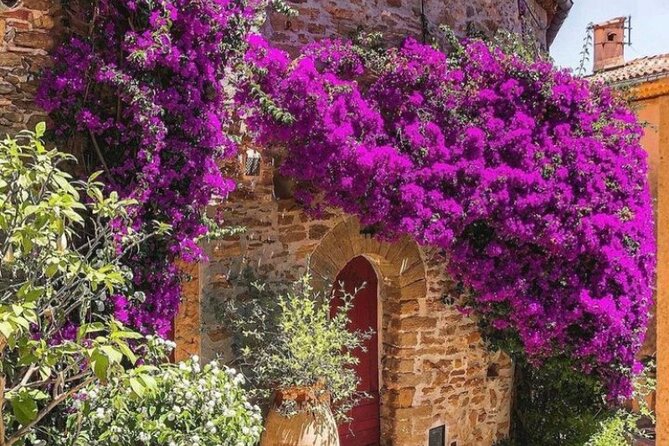 Private Tour from Saint-Tropez to the flowers city - Analyzing the Value