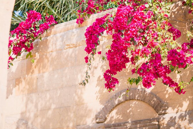 Private Tour from Saint-Tropez to the flowers city - FAQ