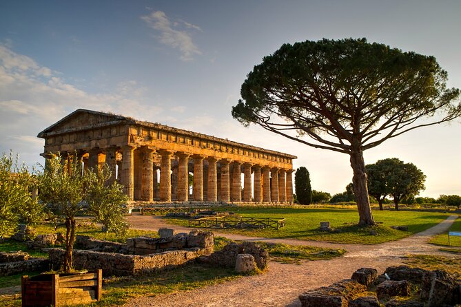Private Tour from Salerno to Vietri sul mare, Pompeii and Paestum - The Sum Up
