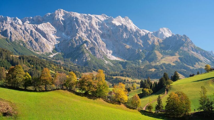 Private tour from Salzburg to Vienna and back in English - Practical Details and Considerations