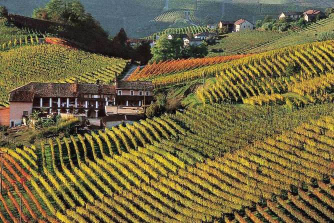 Private tour from Turin: Full day Langhe Region with its Colors and Flavors - Who Should Book This Tour?