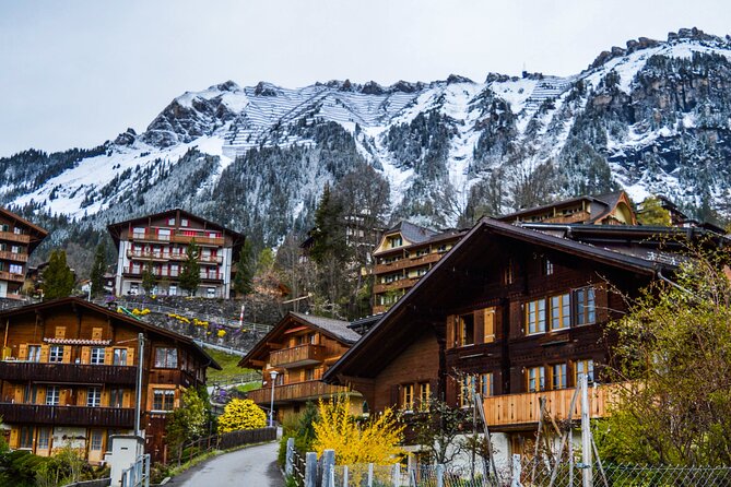 Private tour from Zurich to Interlaken and Lauterbrunnen Valley - An in-depth look at the tour experience