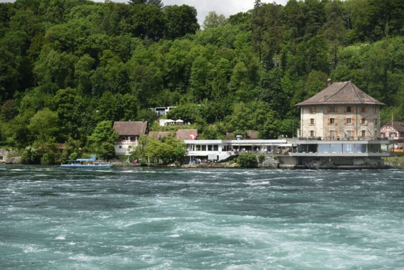 Private Tour From Zurich to Rhine Falls and Black Forest - Inclusions and Services