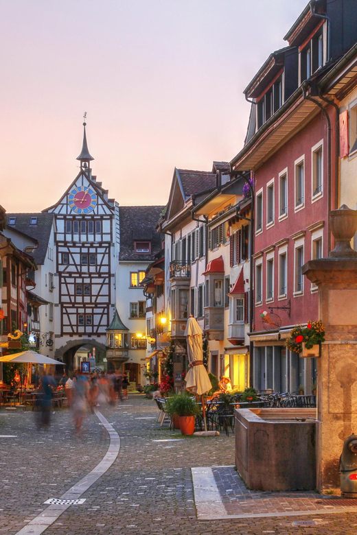 Private Tour From Zurich to Rhine Falls & Stein Am Rhein - Key Points