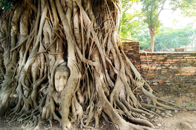 Private Tour: Full Day Ancient City of Ayutthaya and Lopburi - Detailed Review of the Tour Experience