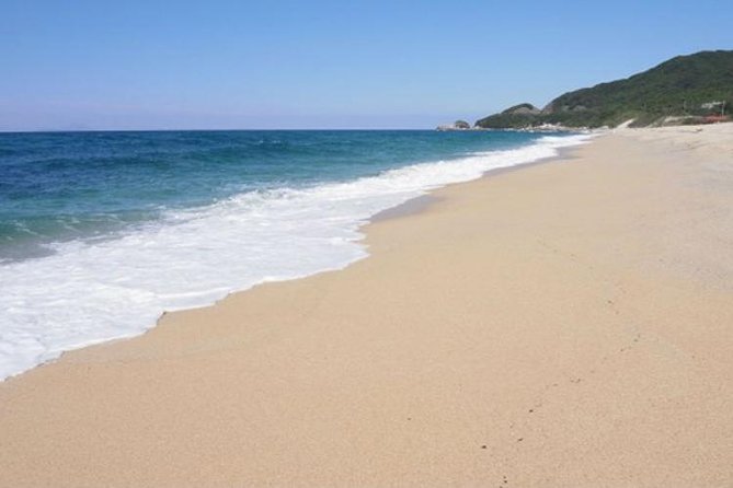 Private Tour: Full-Day Walking Tour With Professional Local Guide in Yakushima Island - Inclusions