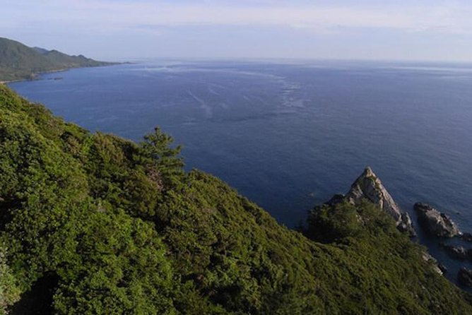 Private Tour: Full-Day Walking Tour With Professional Local Guide in Yakushima Island - Common Questions