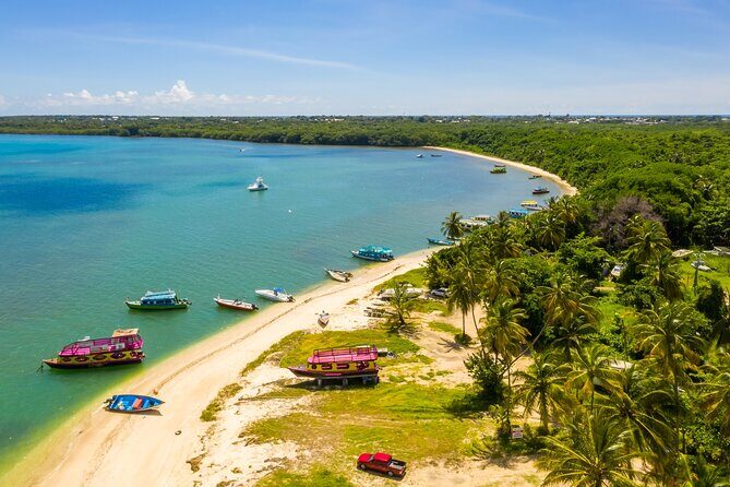 Private Tour Full Island Tobago - Who Is This Tour Best For?