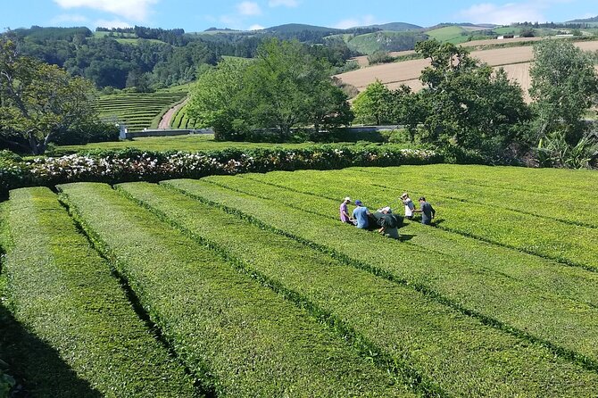 Private Tour Furnas Lake & Hot Springs - Final Thoughts