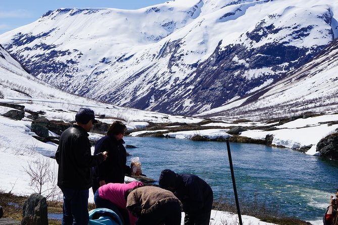 Private tour Geiranger and Glaciers 1 to 15 people - What Sets This Tour Apart?