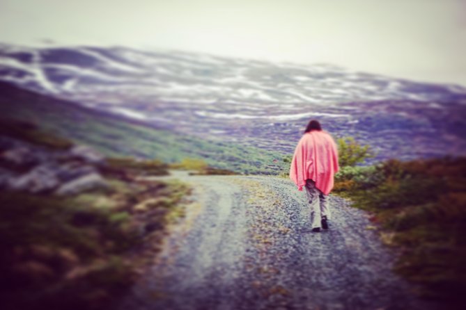 Private tour Geiranger and Glaciers 1 to 15 people - Price and Value