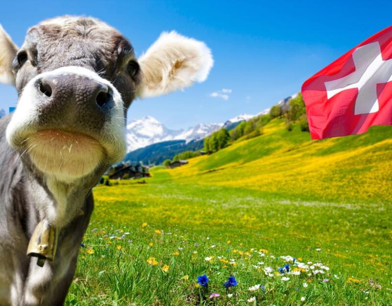 Private Tour Geneva-Gruyères: Chocolate and Cheese Factory - Pickup and Drop-off