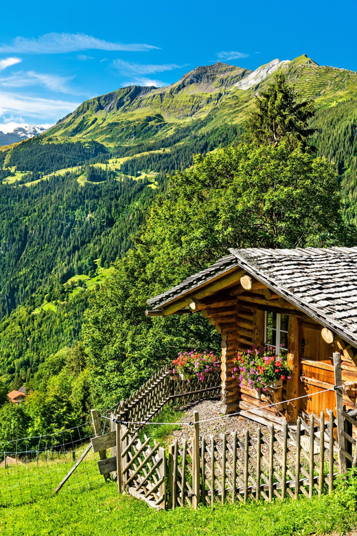 Private Tour Geneva-Gruyères: Chocolate and Cheese Factory - Exploring Maison Cailler
