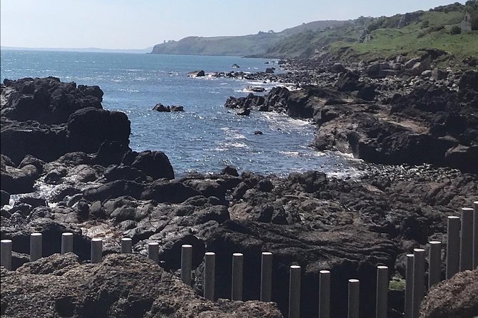 Private Tour - Giants Causeway & 2 Stop Tour - Final Thoughts