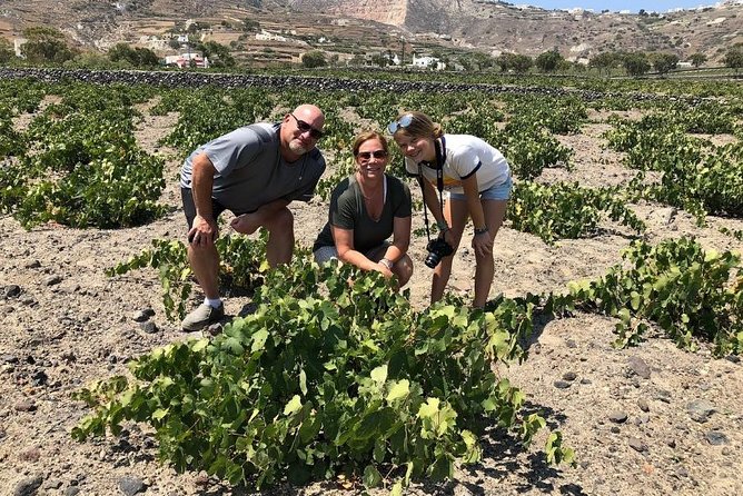 Private Tour: Great Wines and Famous Towns of Santorini - Who Should Consider This Tour?