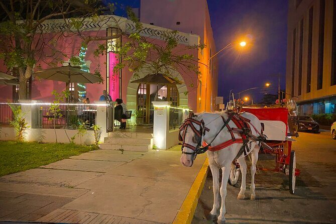 Private Tour Guide in Merida, 100% customisable - A Closer Look at the Tour Experience