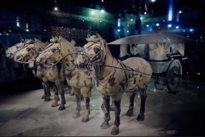 Private Tour Guide or Transfer for Terracotta Warriors and Xi'an - Who Would Benefit Most?