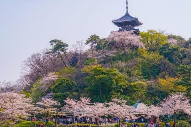 Private Tour Guide Yokohama With a Local: Kickstart Your Trip, Personalized - Pricing and Reviews