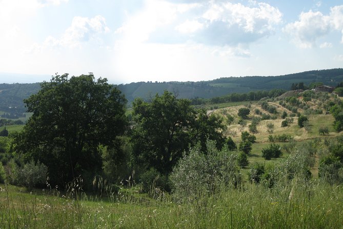 Private Tour: Guided Hike in Tuscany with Transport from Siena - Final Thoughts