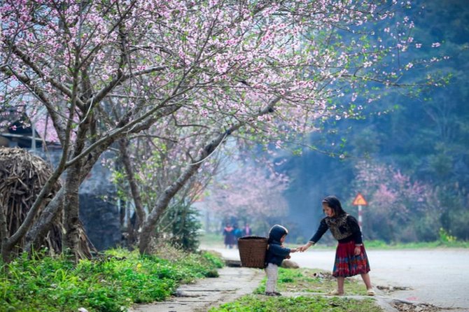 Private Tour: Ha Giang 3 days 4 nights - FAQs