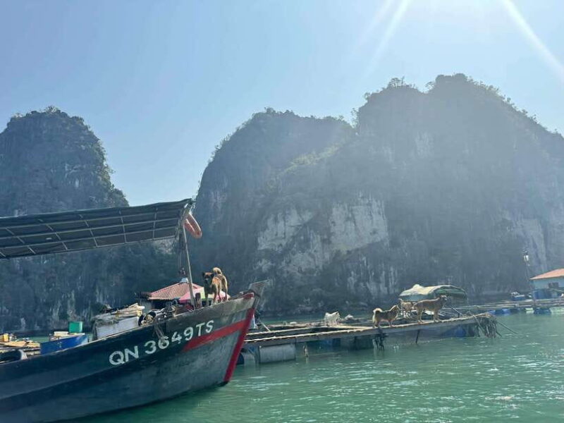 Private Tour Ha Long Bay 1 day & Choose Language Tour Guide - A Well-Structured Day on the Bay