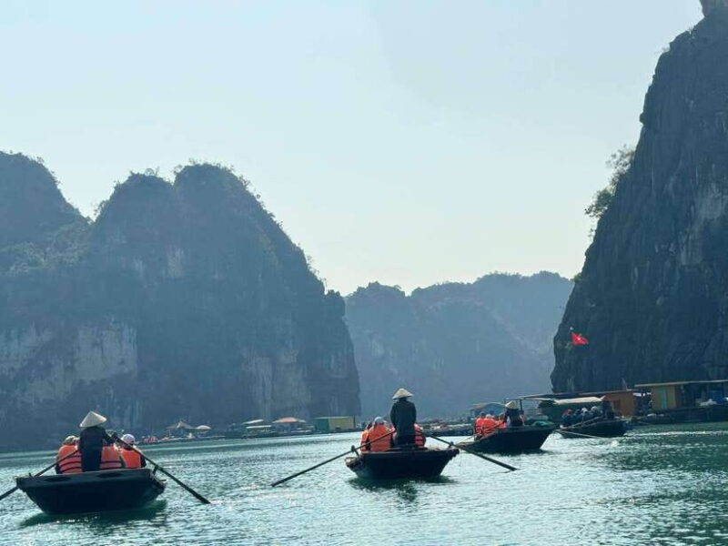 Private Tour Ha Long Bay 1 day & Choose Language Tour Guide - Time on Ti Top Island: Relax or Hike