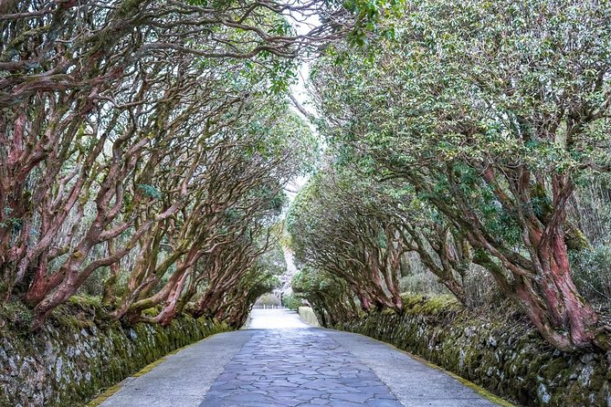 Private Tour - Hakone Day Trip! A Tour to Explore All Must-Sees! - Important Information and Recommendations