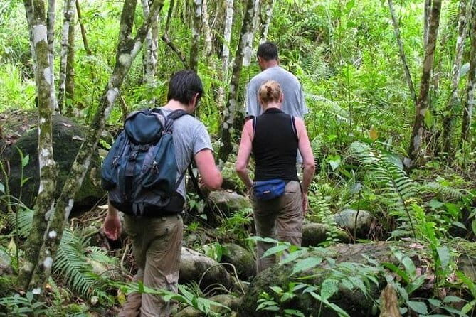 Private Tour: Half Day Tour Bukit Lawang & Orang Utan Jungle Trekking - Key Points