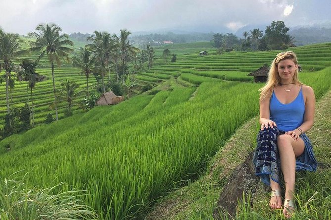 Private Tour Highlight of Bedugul and Jatiluwih Rice Terrace - The Sum Up