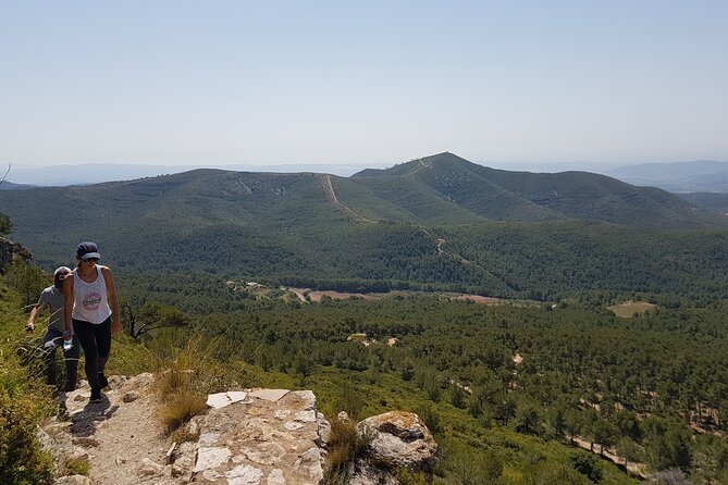 Private Tour - Hike and wine tasting at the Penedés - Who Should Consider This Tour?