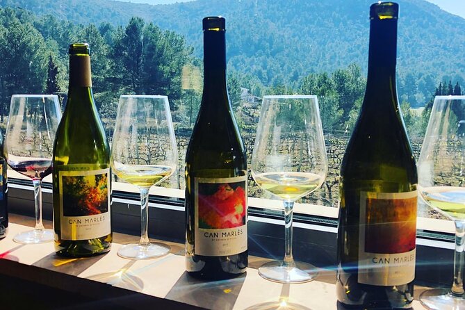 Private Tour - Hike and wine tasting at the Penedés - The Sum Up: The Value of a Scenic, Tasty Day