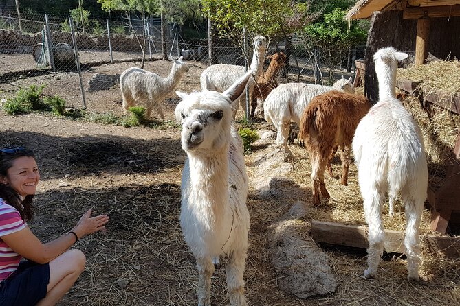 Private Tour - Hike and wine tasting at the Penedés - FAQ