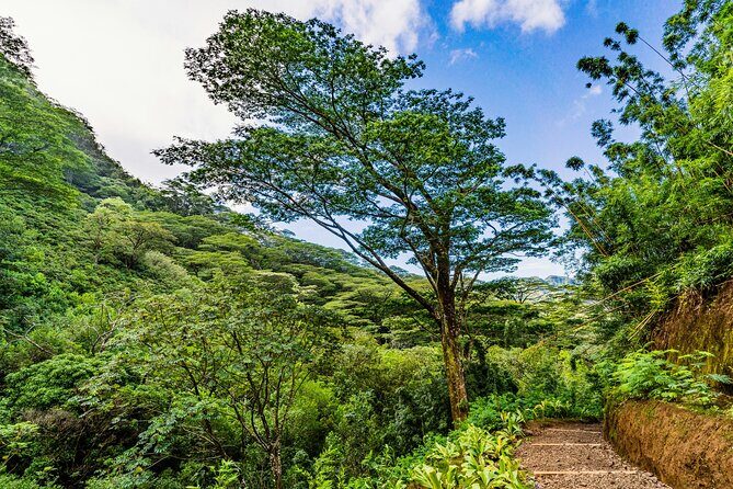 PRIVATE TOUR-Hike Diamond Head & Hawaiian Waterfall - Who Will Love This Tour?