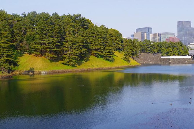 Private Tour - History, Art and Nature at the Imperial Palace - Accessibility and Participation