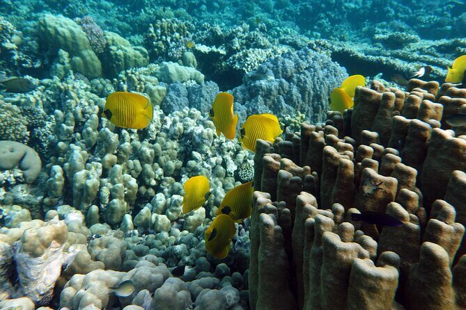 Private Tour History, Local Food and Snorkeling Whole Island - What’s Included and What’s Not