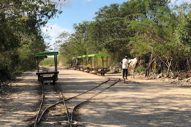 Private Tour: Homun Cenotes Day Trip - Analyzing the Value