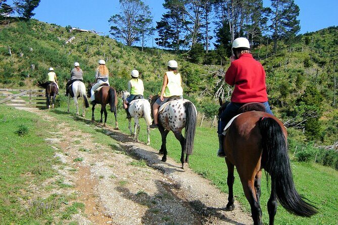 Private Tour - Horse Riding, Wine Tasting and Art Trail - The Sum Up