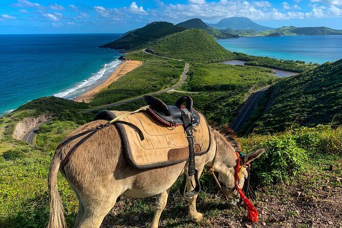 Private Tour Horseback Riding and Beach in St Lucia - Key Points