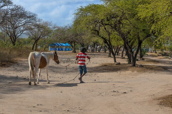 Private Tour Horseback Riding and Beach in St Lucia - The Itinerary in Detail: What to Expect