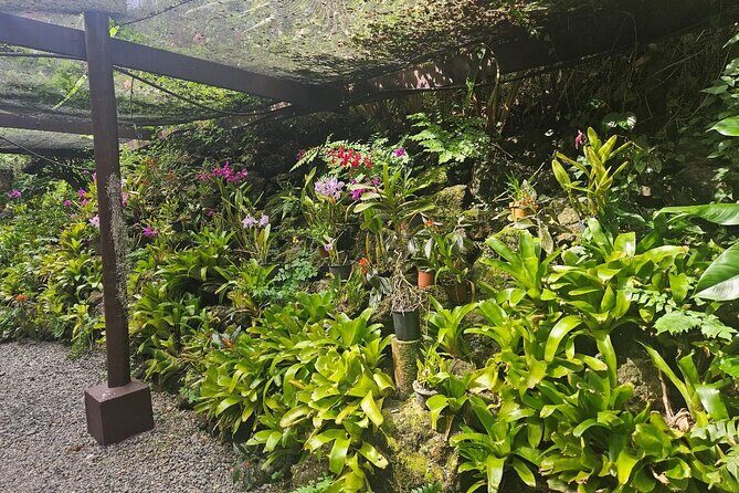Private Tour: Hot spings & Sleeping Giant Garden hiking Adventure - Final Thoughts