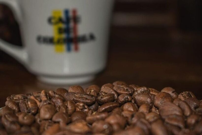 Private Tour in an Authentic, Ecological Local Coffee Finca - Final Thoughts