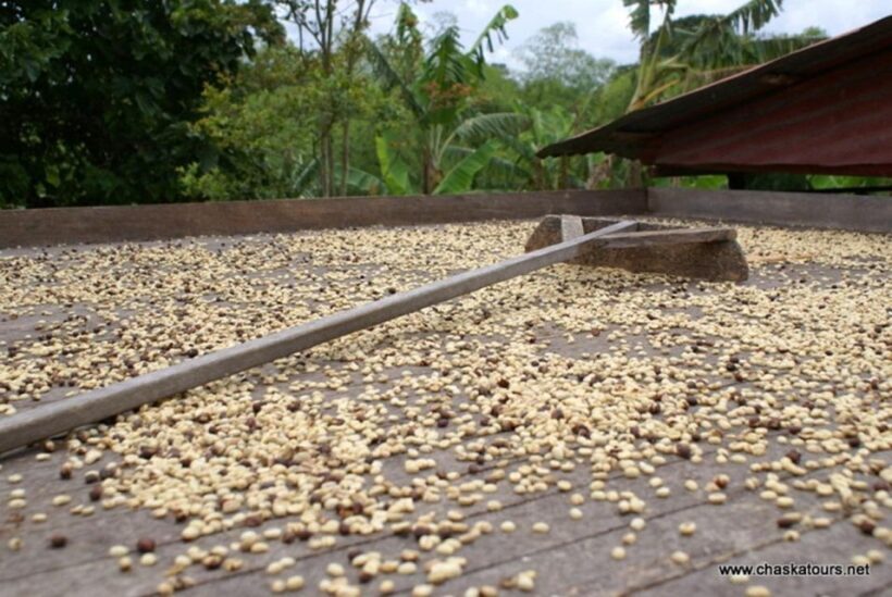 Private Tour in an Authentic, Ecological Local Coffee Finca - FAQ