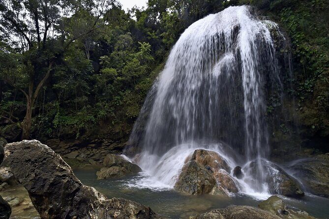 Private Tour in Aripo Waterfall Adventure from Port of Spain - Key Points