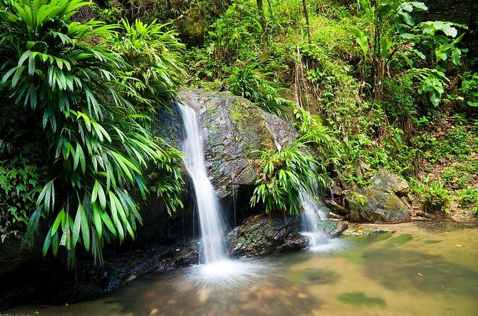 Private Tour in Aripo Waterfall Adventure from Port of Spain - Practical Tips for Travelers