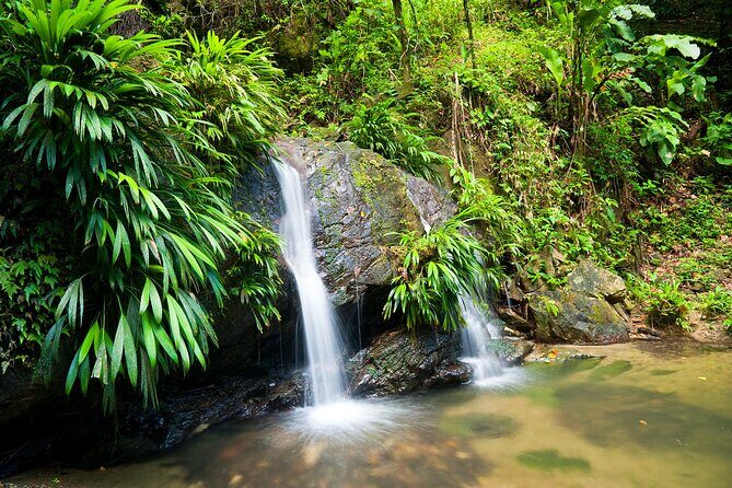 Private Tour in Aripo Waterfall Adventure from Port of Spain - FAQs