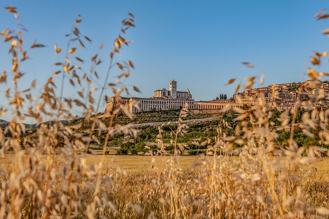 Private Tour in Basilica of St. Francis of Assisi - Practical Considerations